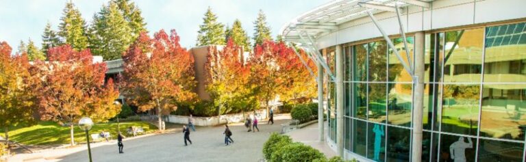 Clubs and Organizations at BC | Associated Student Government of ...