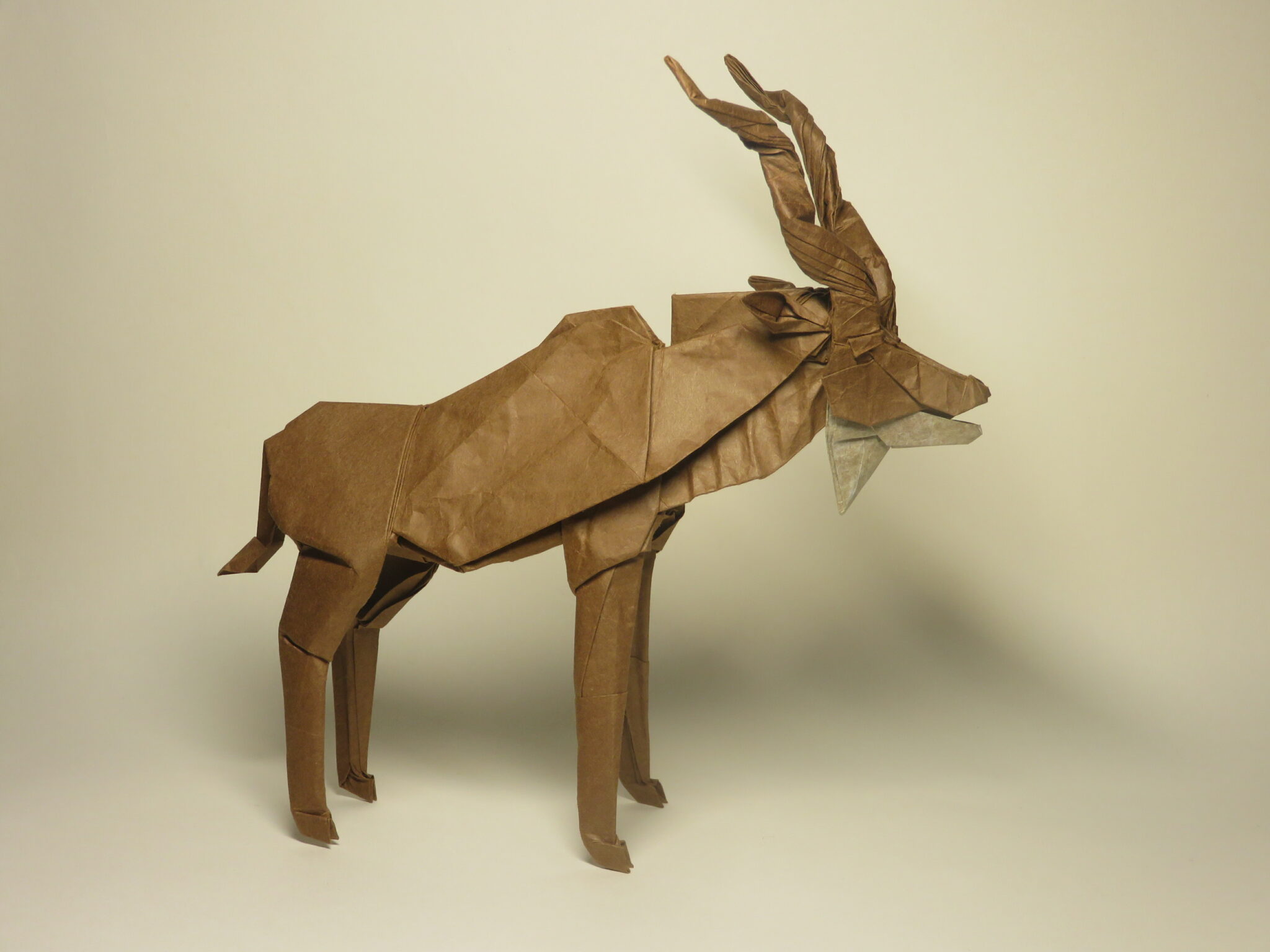 2021 Origami Contest | Japan Week at Bellevue College