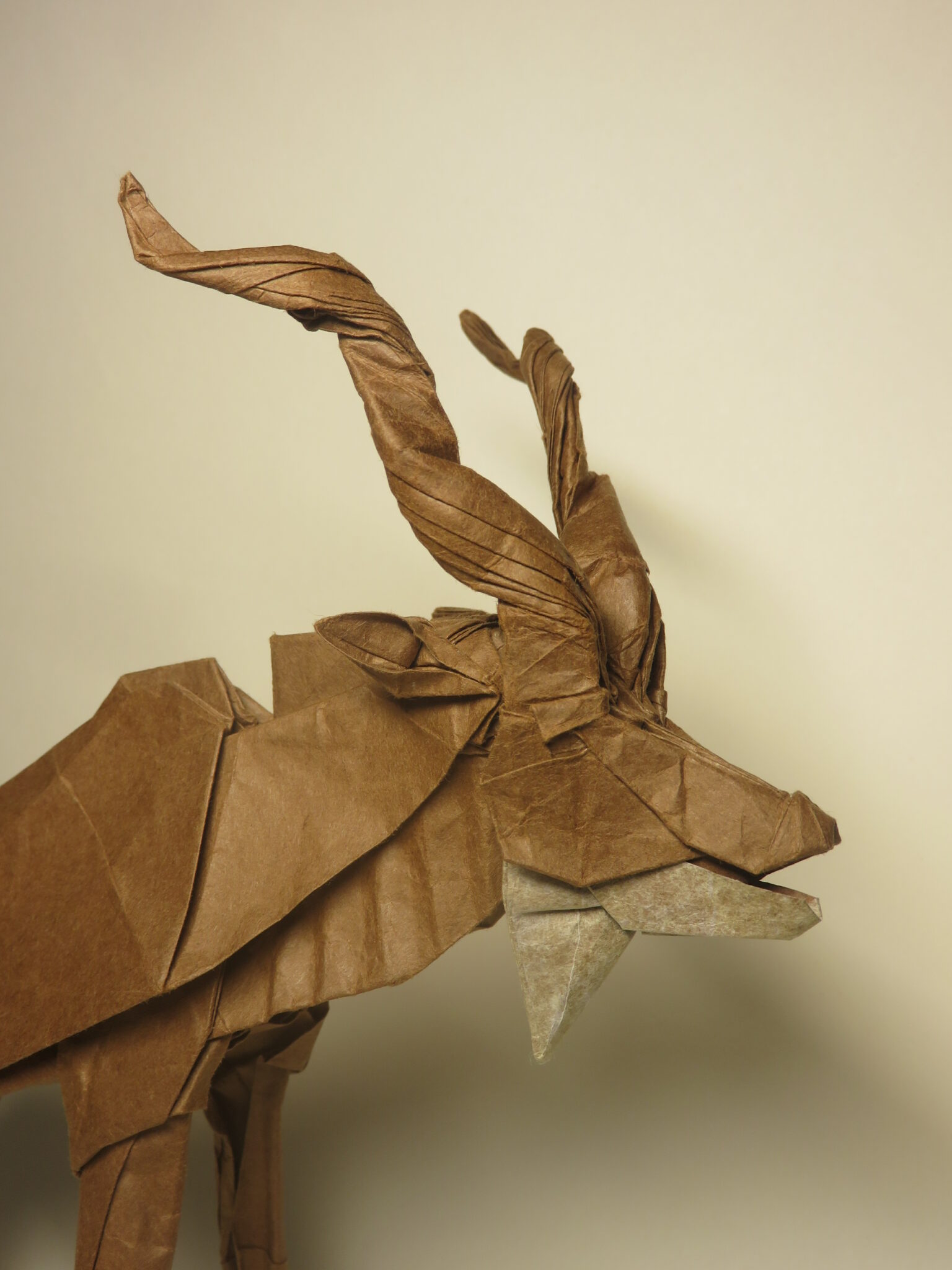 2021 Origami Contest | Japan Week at Bellevue College